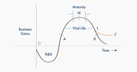 Technology Lifecycle Management: A CEO Roadmap